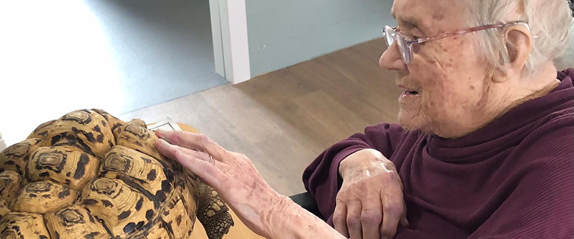 Colonia court residents enjoy animal therapy session | Bupa UK
